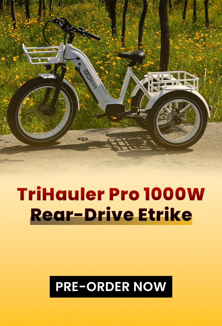 Shop Fat Tire Electric Bike & Accessories | HJM All-terrain Ebike ...